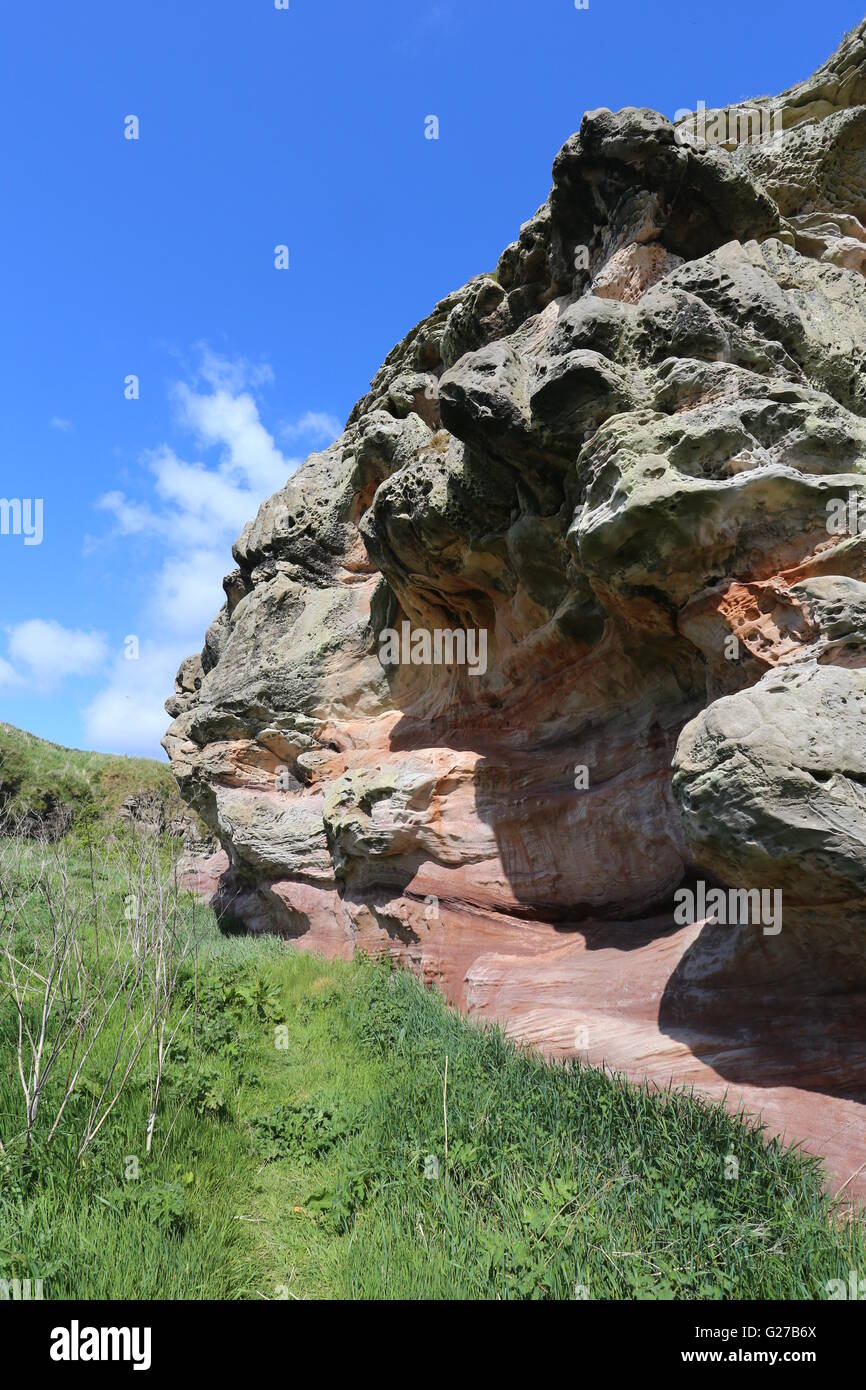 Buddo hi-res stock photography and images - Alamy