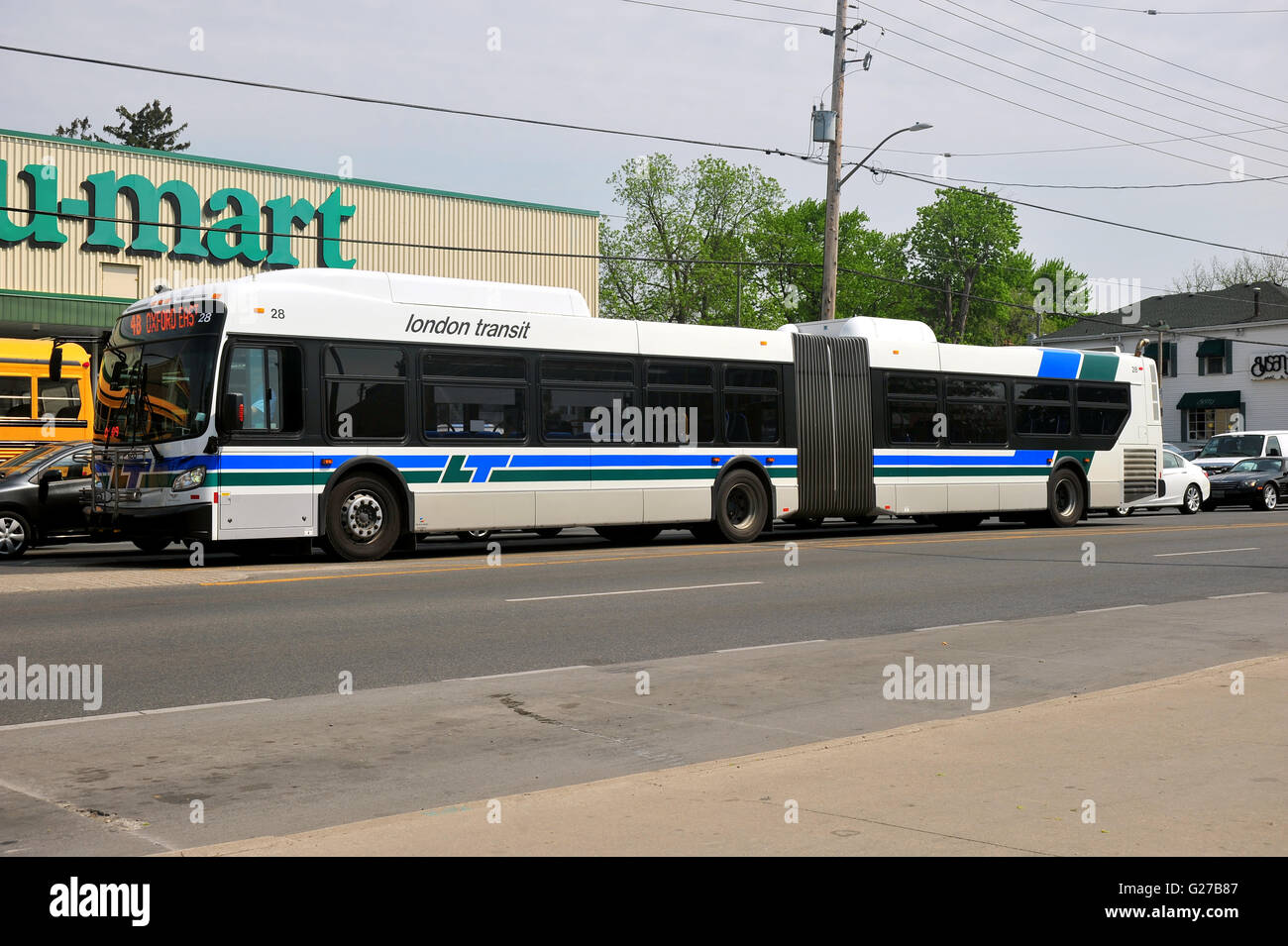 A bendy bus in the Canadian city of London, Ontario Stock Photo - Alamy