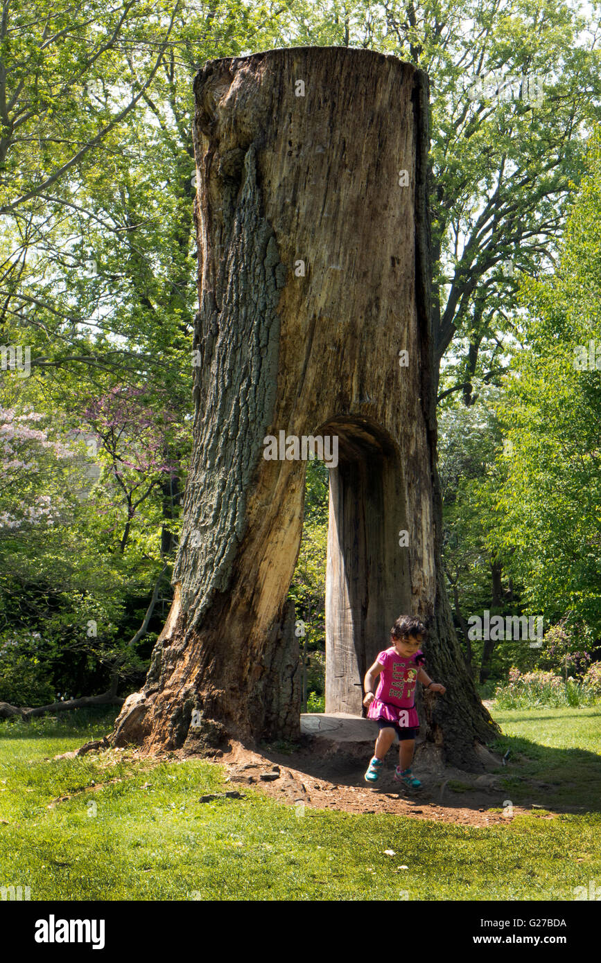 Hollowed out tree hi-res stock photography and images - Alamy