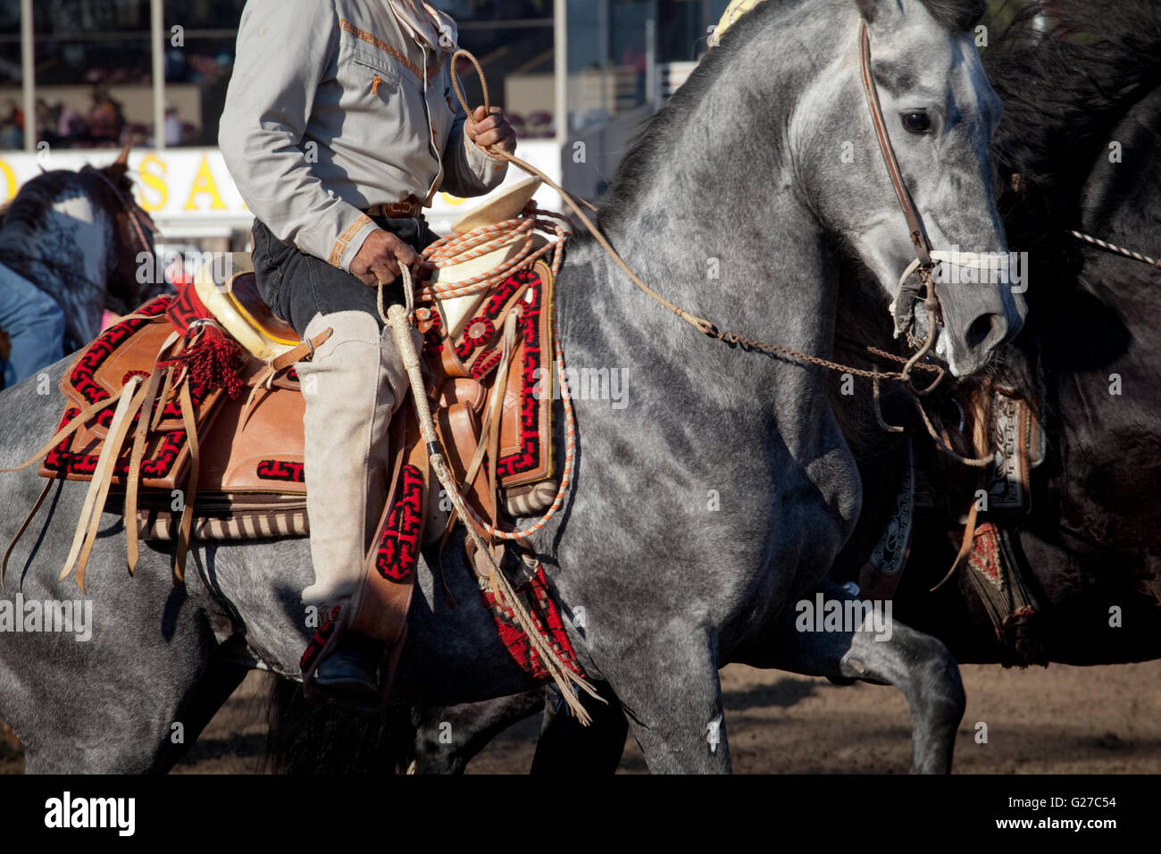 Arena americana hi-res stock photography and images - Alamy