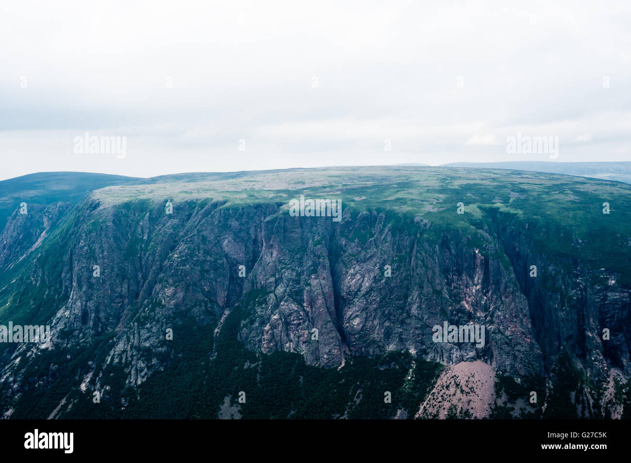Large steep cliffs partly covered in vegetation descending from plateau ...