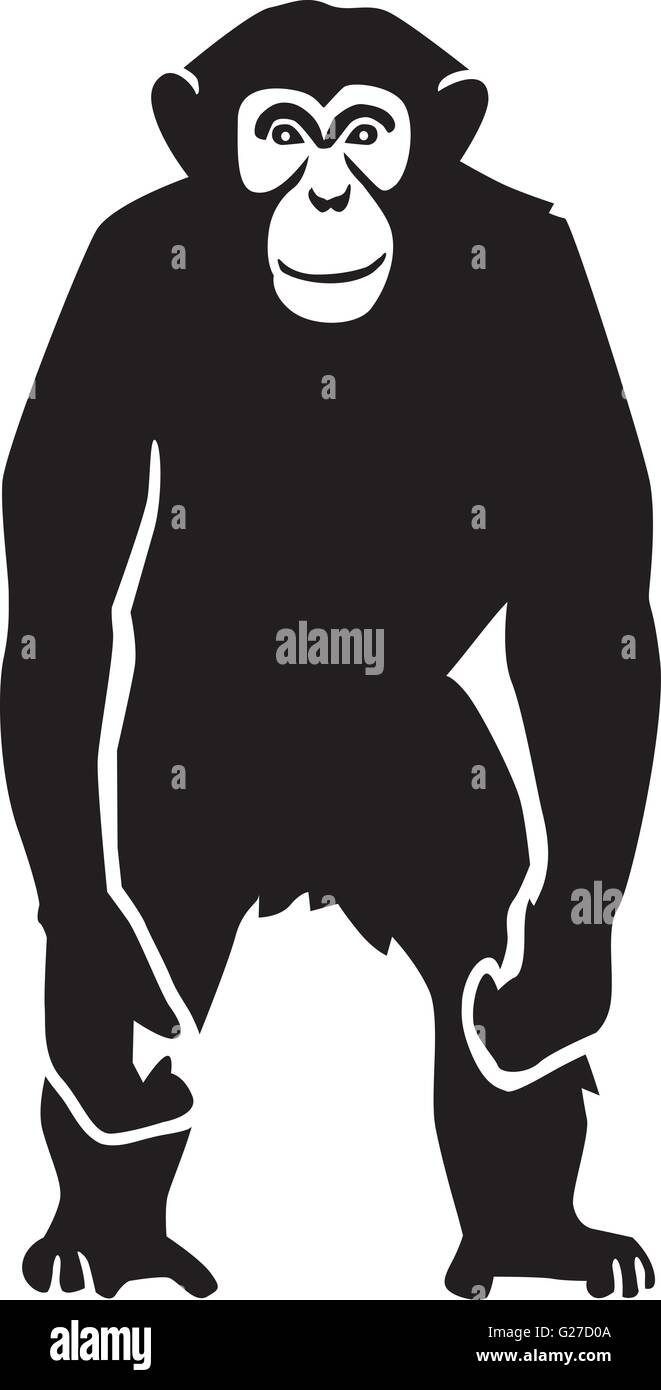 Standing ape illustration hi-res stock photography and images - Alamy