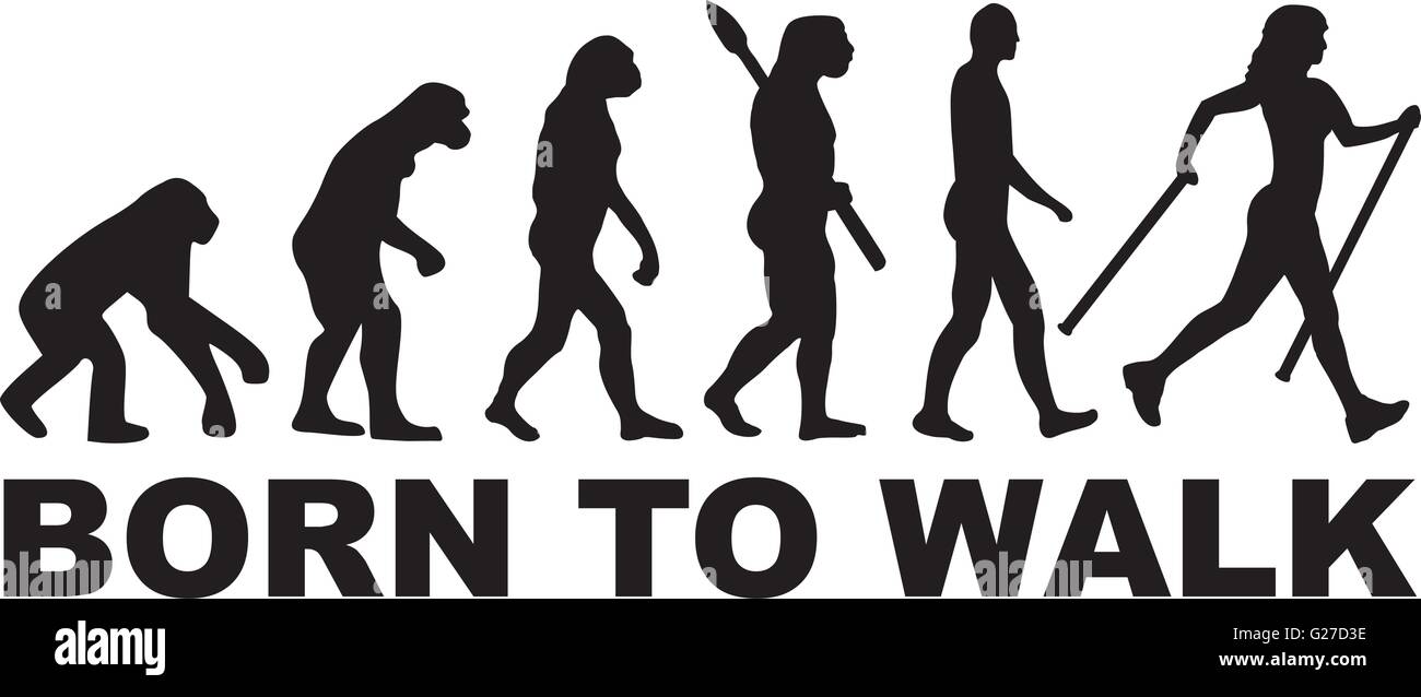 Nordic Walking Evolution Stock Vector Image & Art - Alamy