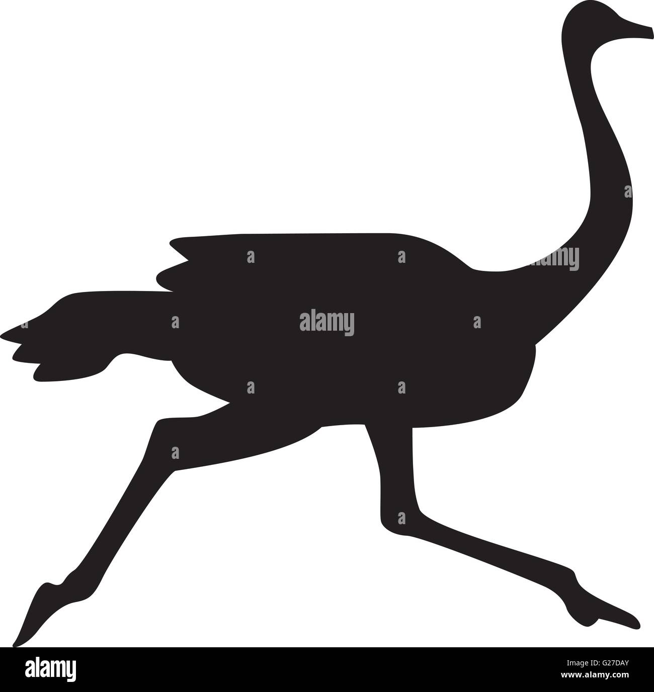 Emu running Stock Vector Images - Alamy