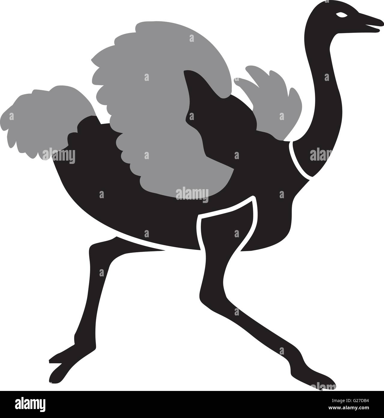 Emu running Stock Vector Images - Alamy