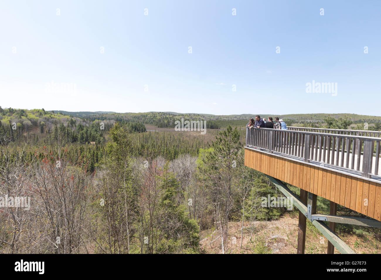 Algonquin trees hi-res stock photography and images - Alamy