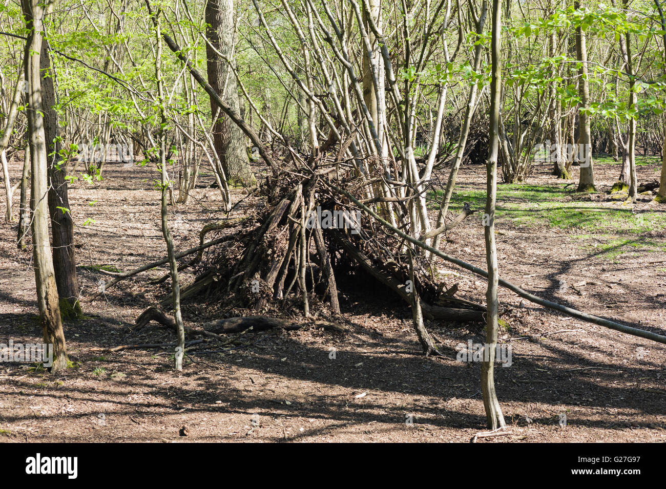 A poorly constructed wigwam in a forest Stock Photo - Alamy