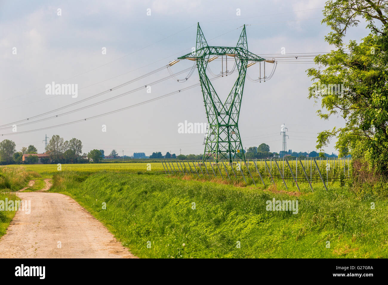 pylons in rural farmland Stock Photo - Alamy