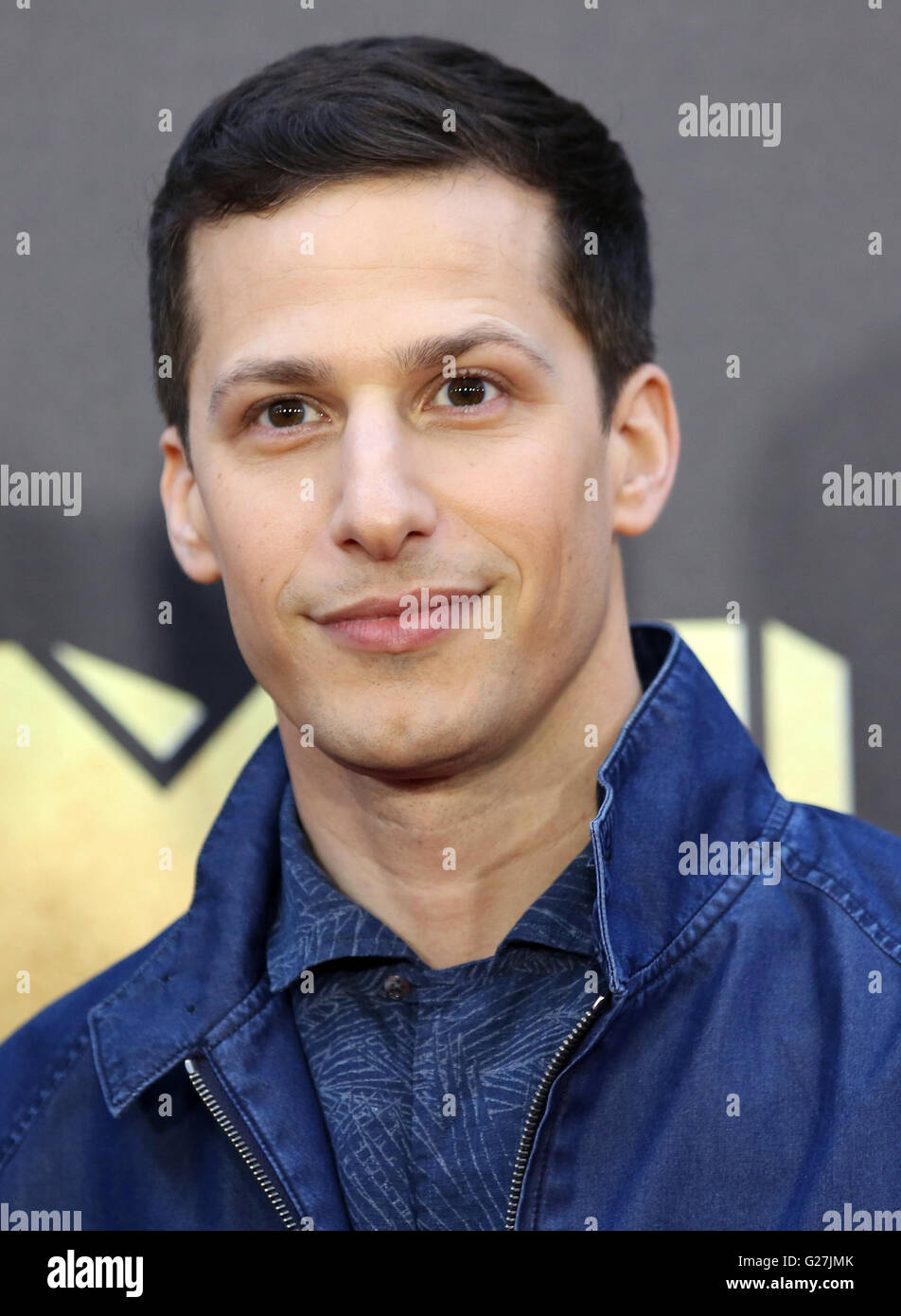 Celebrities attends the 2016 MTV Movie Awards at Warner Bros. Studios ...