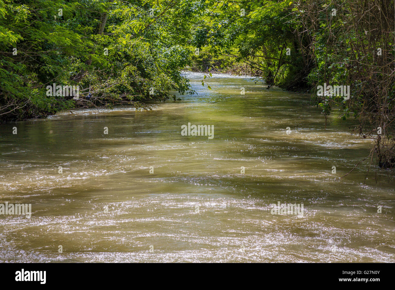 the Senio river on the Apennines hills of Tuscany and Romagna Stock ...