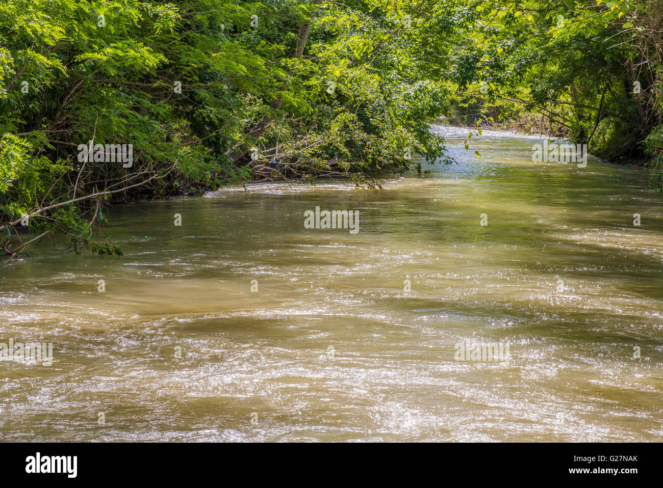 Senio river hi-res stock photography and images - Alamy
