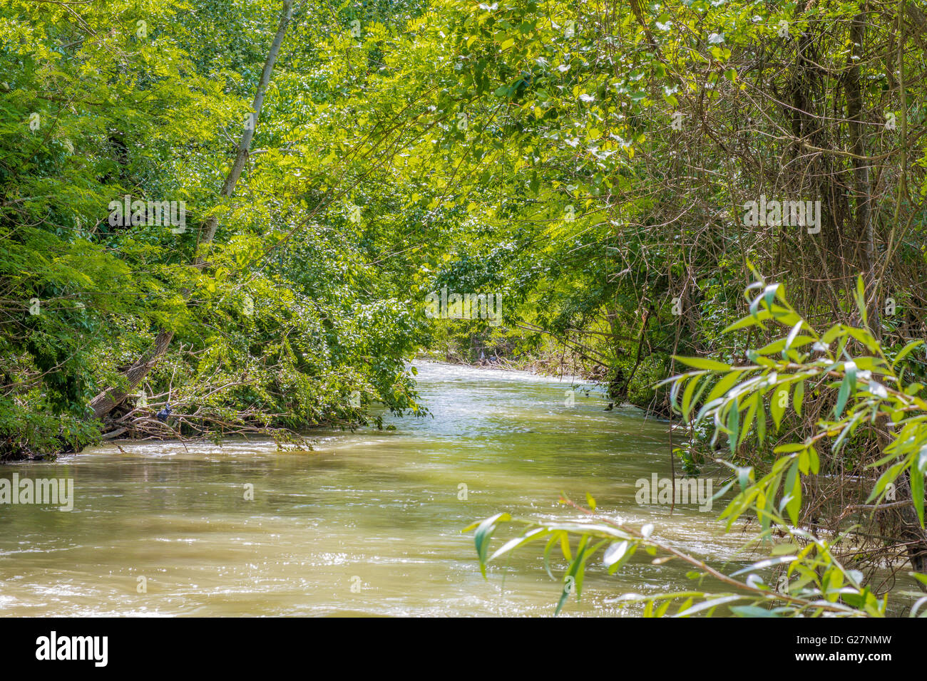 Senio river hi-res stock photography and images - Alamy