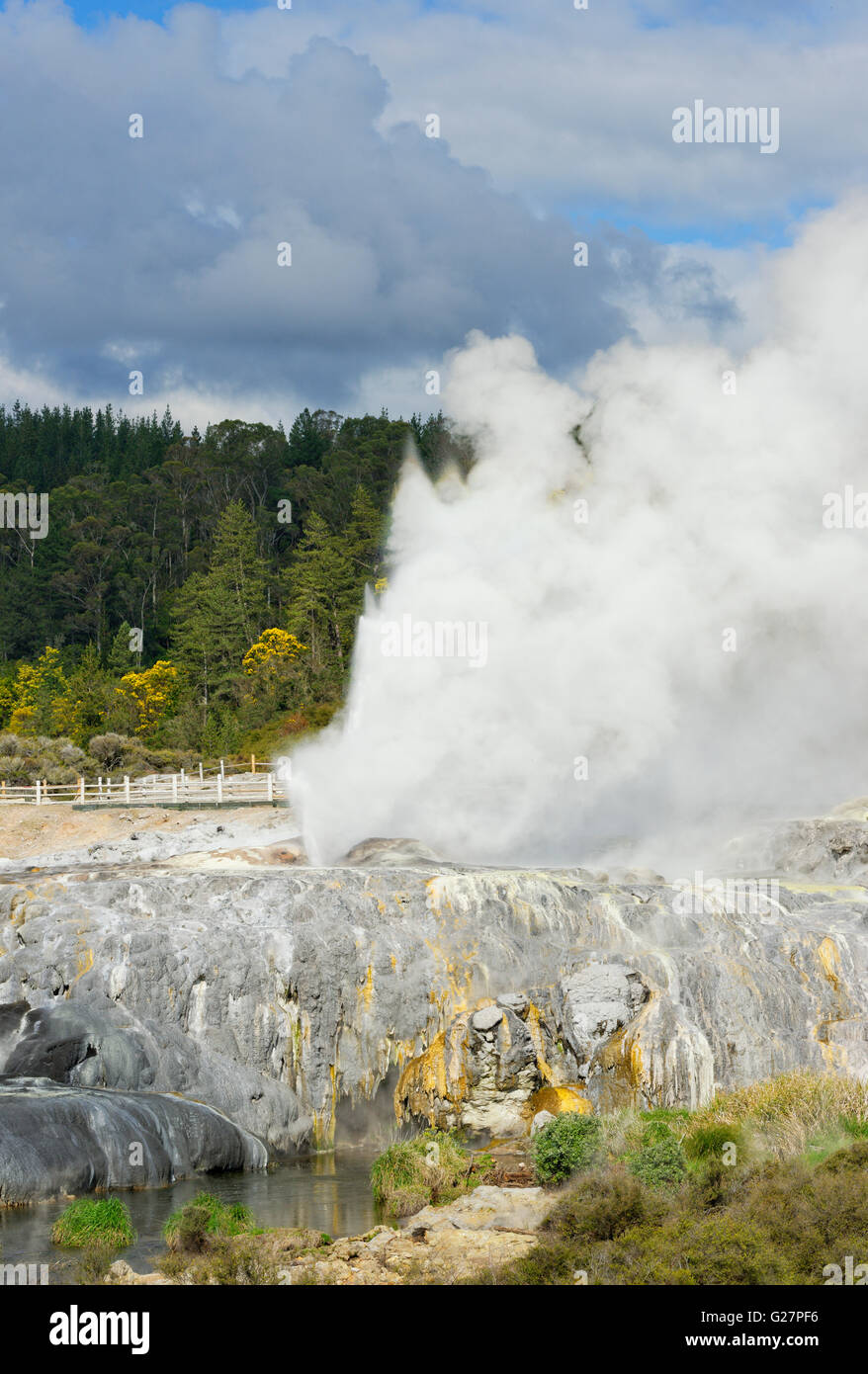 Te puia rotorua hi-res stock photography and images - Alamy
