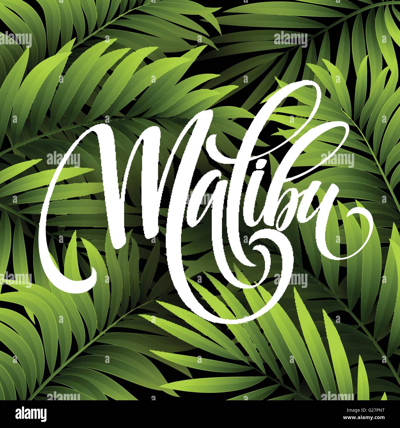 Malibu California handwriting lettering on the palm leaf tropical ...