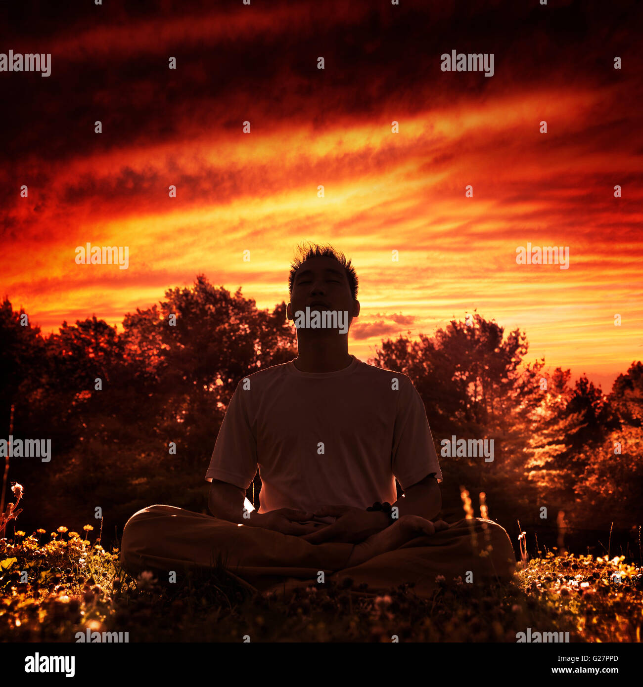 Shaolin Temple Kung Fu High Resolution Stock Photography and Images - Alamy