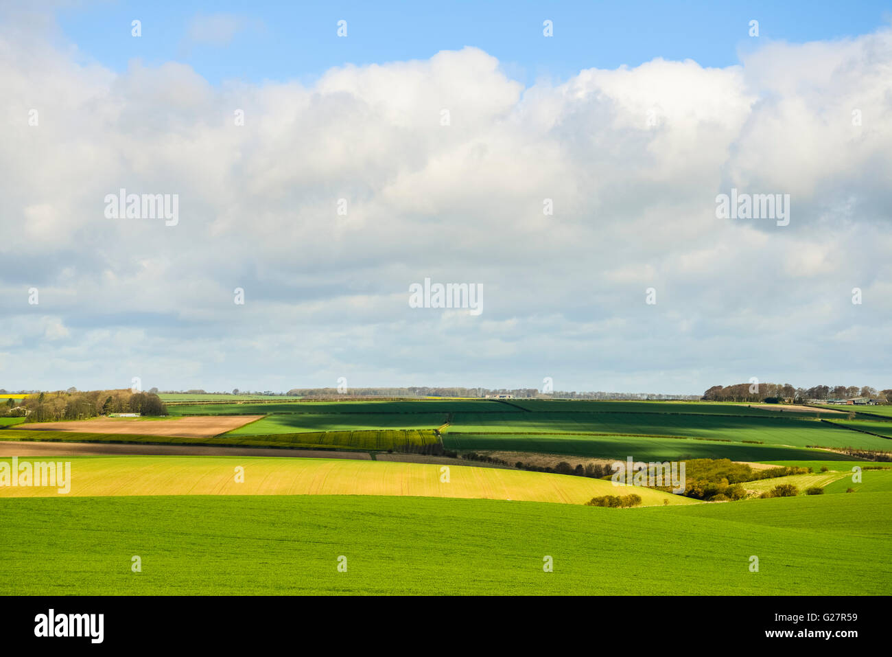 View over the plateau of the Yorkshire Wolds near Goodmanham; a view ...