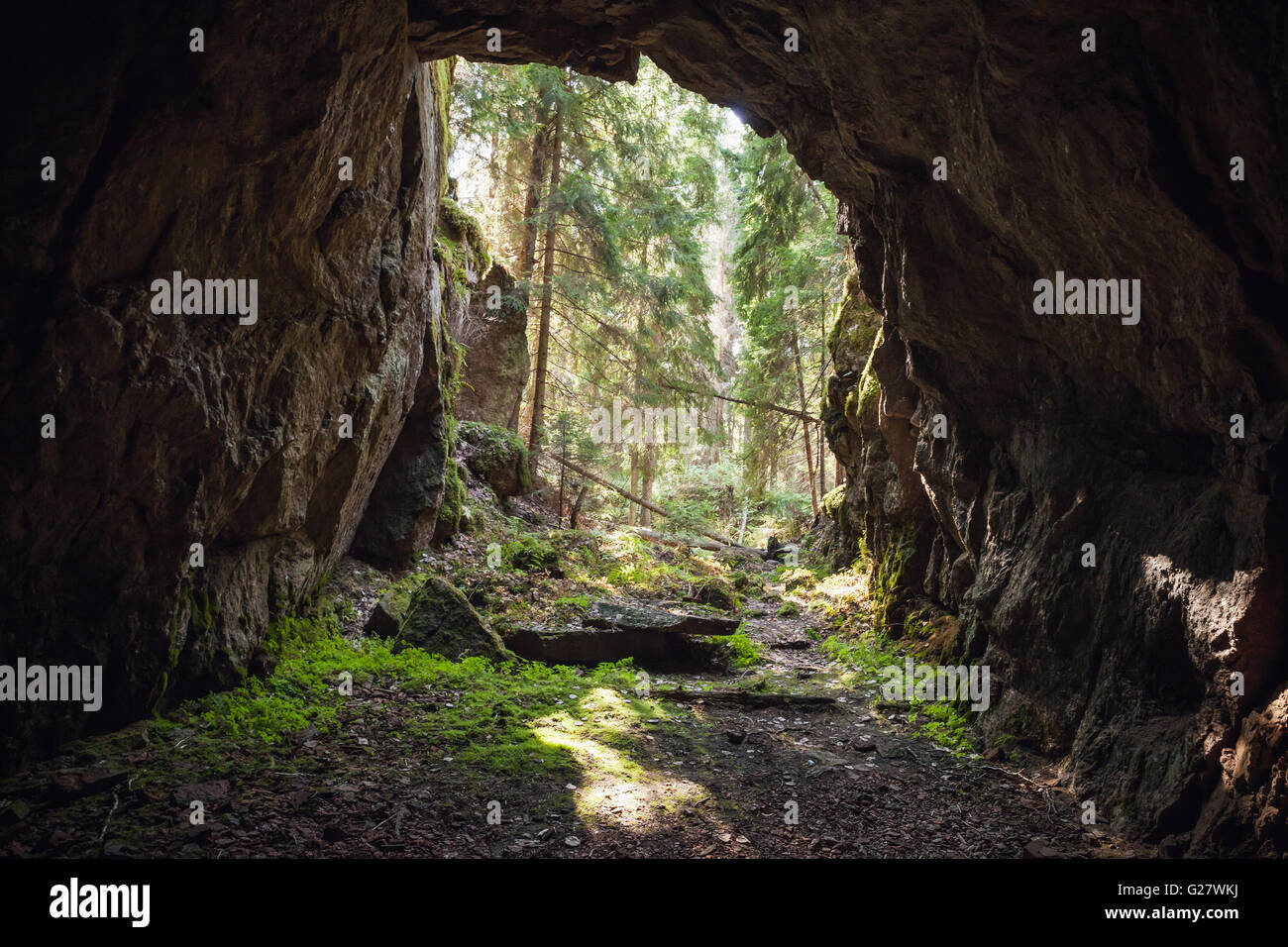 Exit path from forest mountain hi-res stock photography and images - Alamy