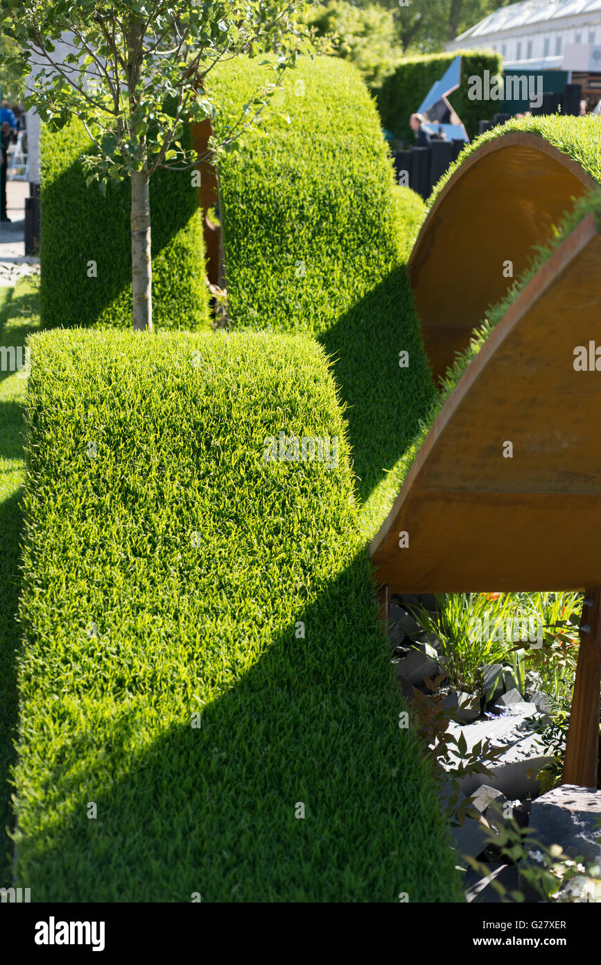 The World Vision Garden at the 2016 RHS Chelsea Flower Show, Designer ...