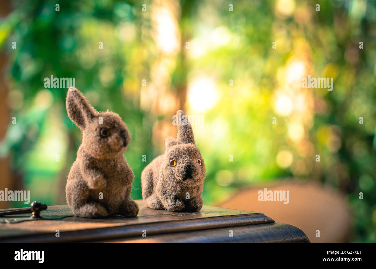 Vintage pet rabbits hi-res stock photography and images - Alamy