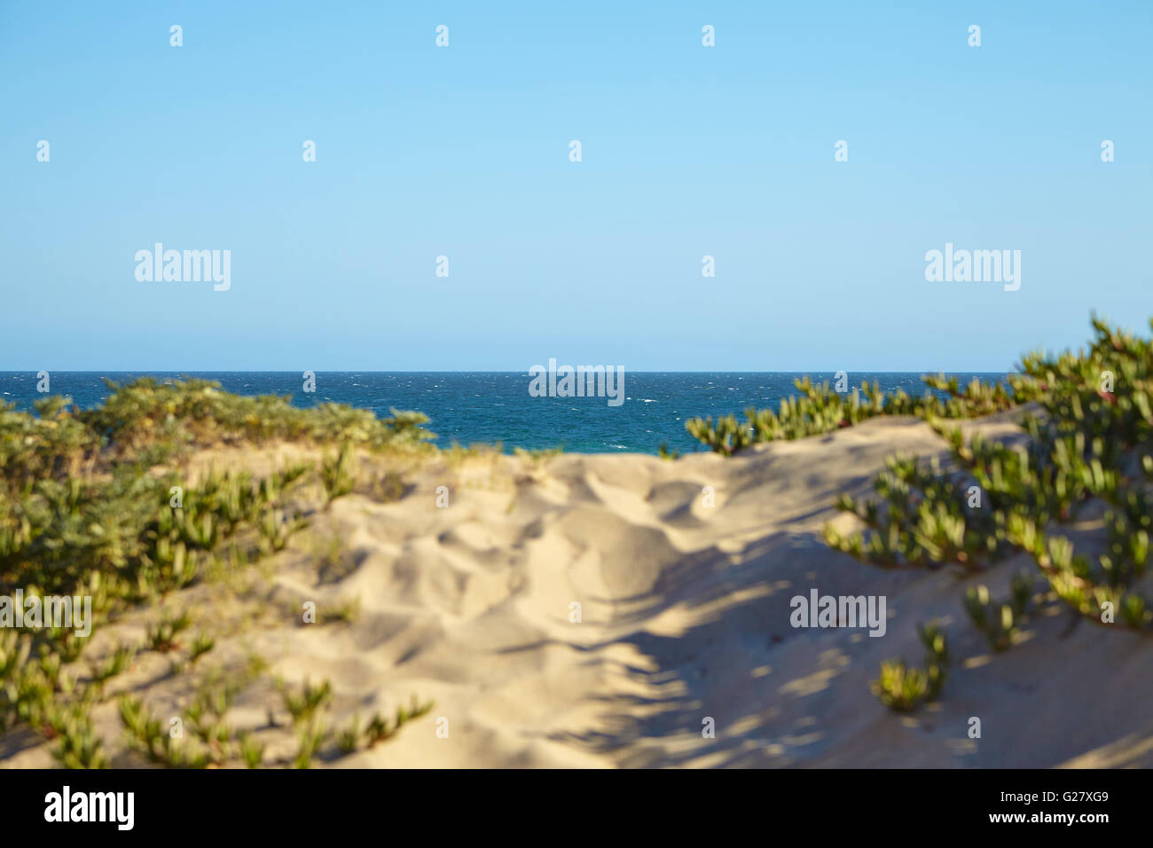 Small dune at the beach Stock Photo - Alamy