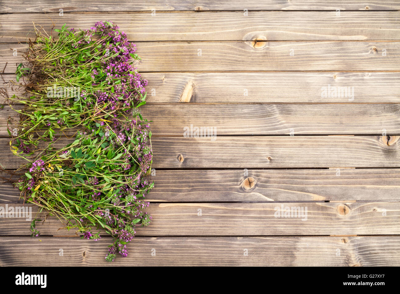 Spring border background with flowers Stock Photo - Alamy