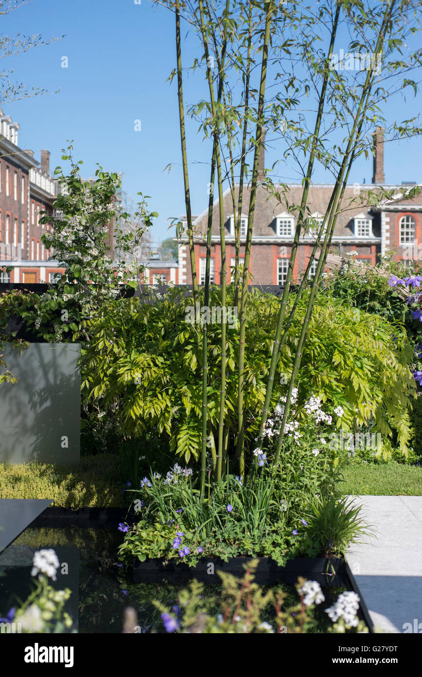 2016RHS Chelsea Flower Show, The Watahan East & West Garden, Designer ...