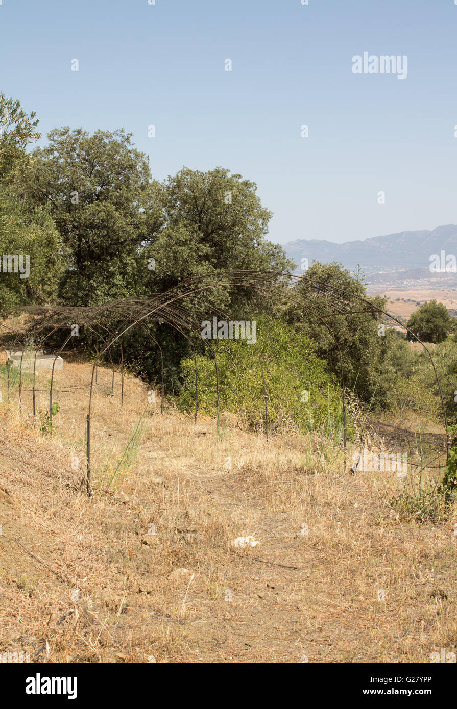 Countryside malaga hi-res stock photography and images - Alamy