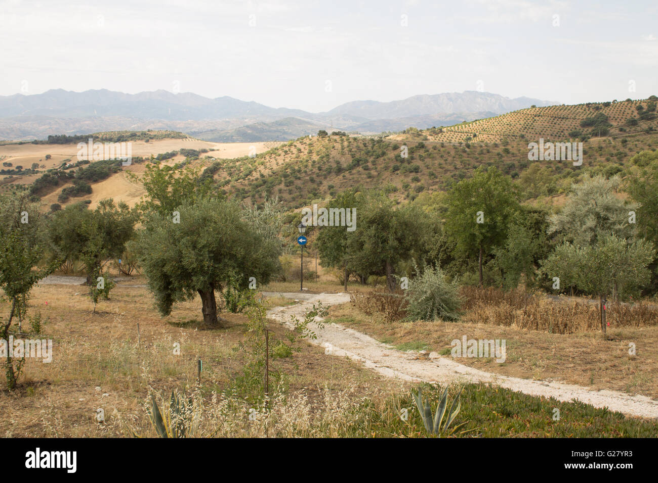 Countryside malaga hi-res stock photography and images - Alamy