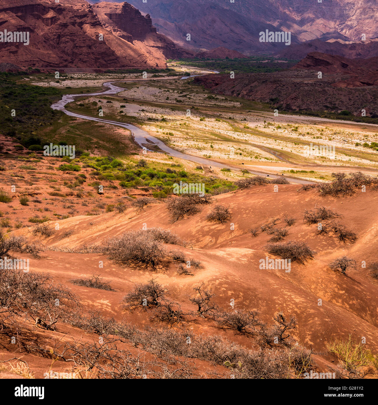 Quebrada de Cafayate, Salta province, Argentina Stock Photo - Alamy