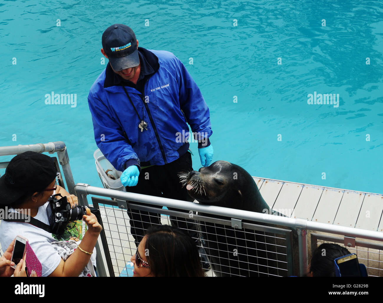 Saying Bye Stock Photos & Saying Bye Stock Images - Alamy