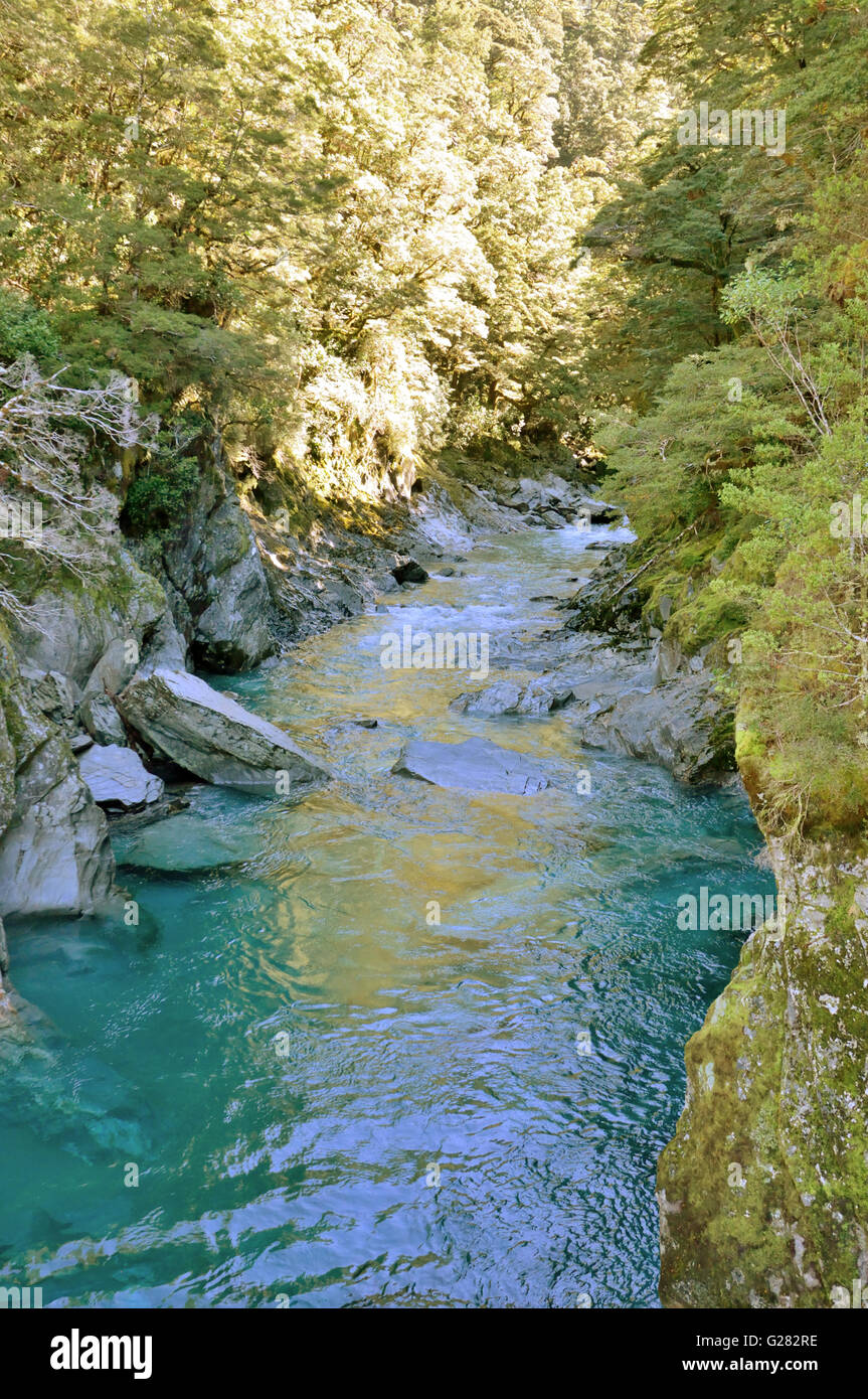 Blue River Gorge at Blue Pools Stock Photo - Alamy