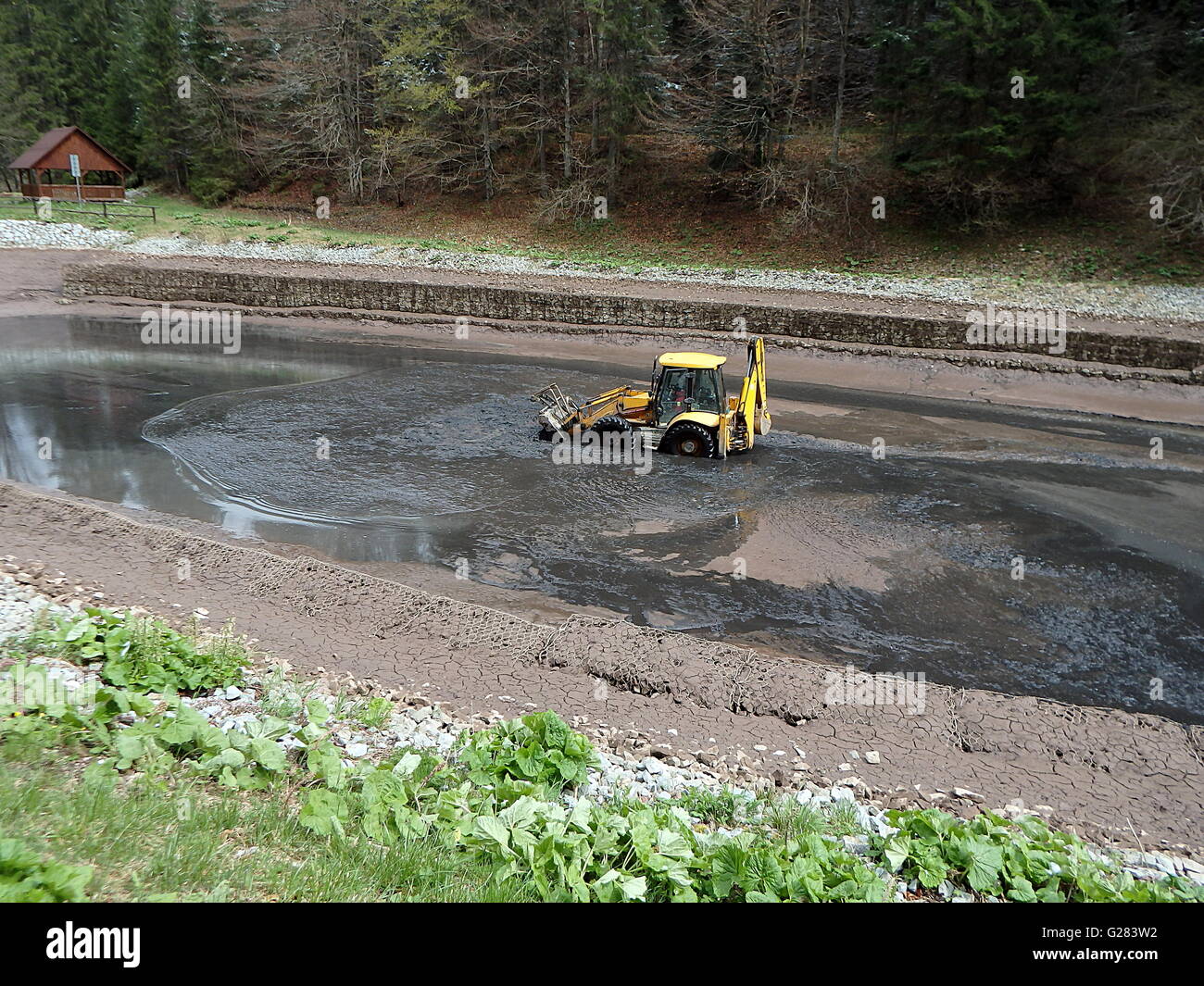 yellow wheel loader excavator in mud Stock Photo - Alamy