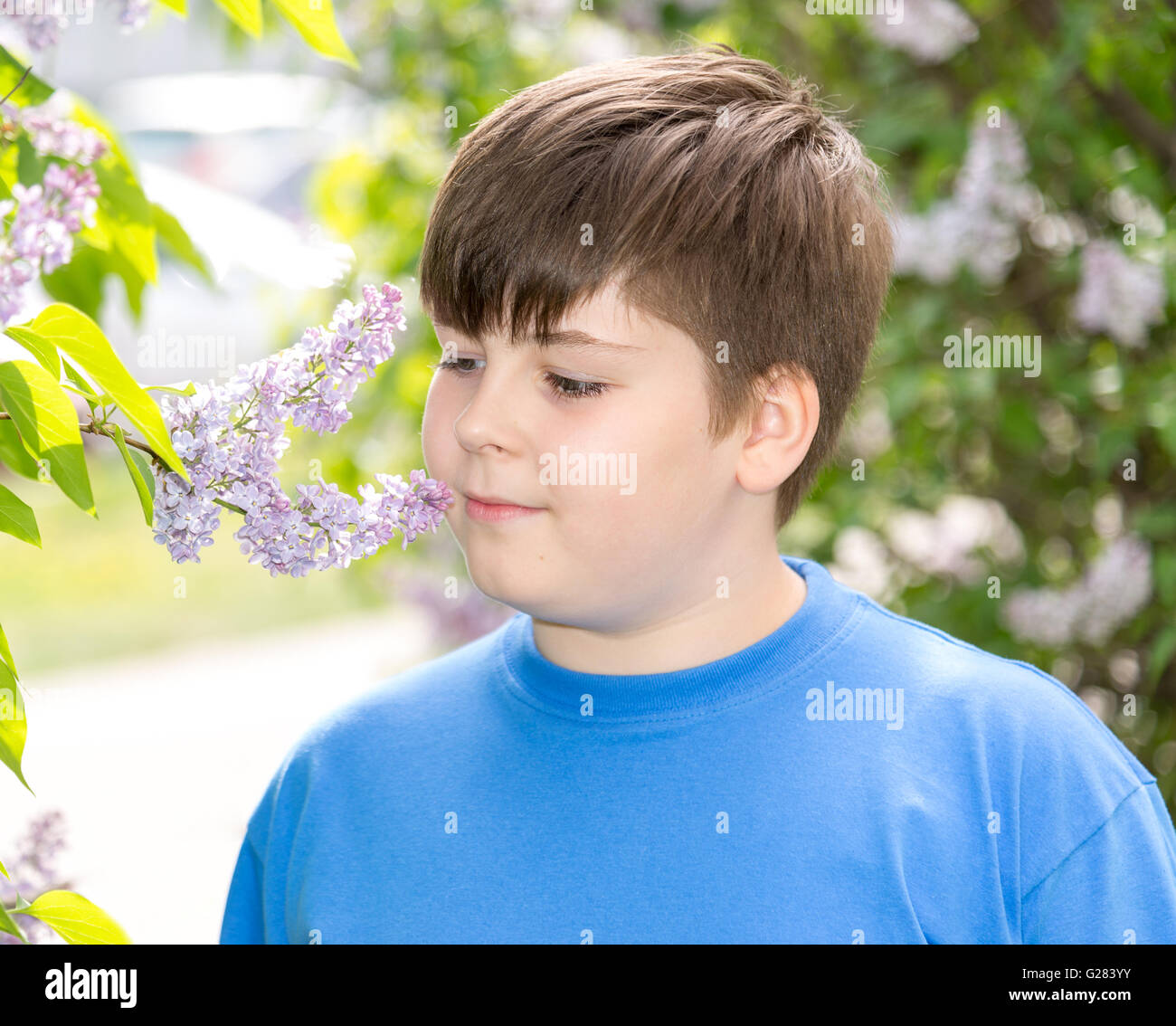 boy smelling a lilac flowers in park Stock Photo - Alamy