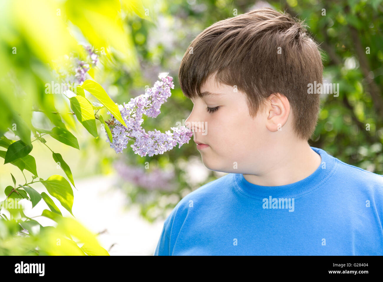boy smelling a lilac flowers in park Stock Photo - Alamy