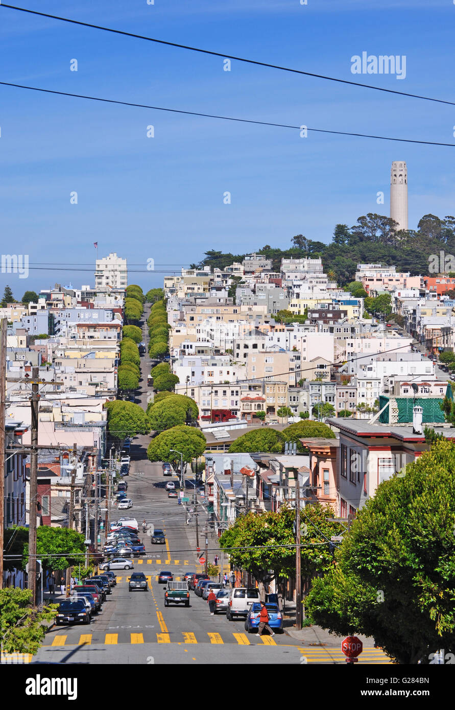 San Francisco: skyline with view of the Coit Tower, built in 1933, also ...