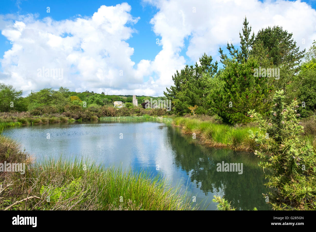 Ponds created for wildlife in the Bissoe Valley, Cornwall, England, UK ...
