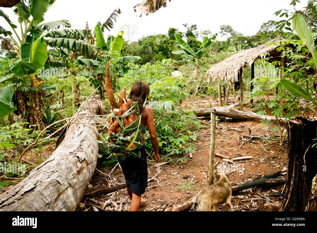 Brazil rainforest tribe women hi-res stock photography and images - Alamy