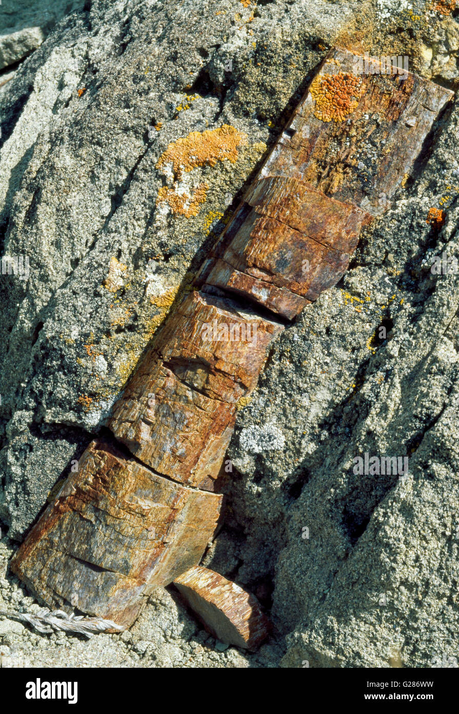 Mt35 22 hi-res stock photography and images - Alamy