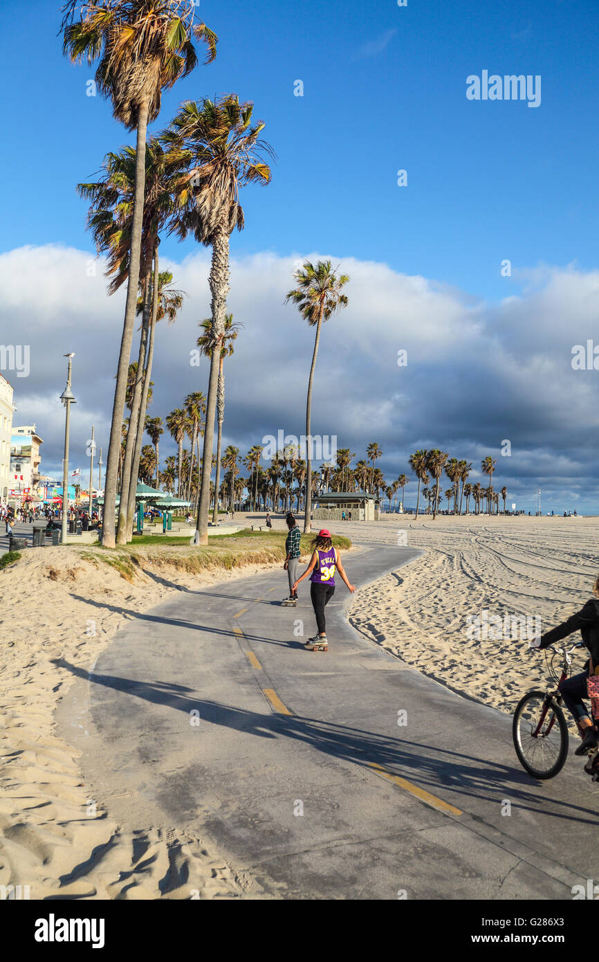 Skateboarders and bikes on the Venice bike path in Venice, California ...