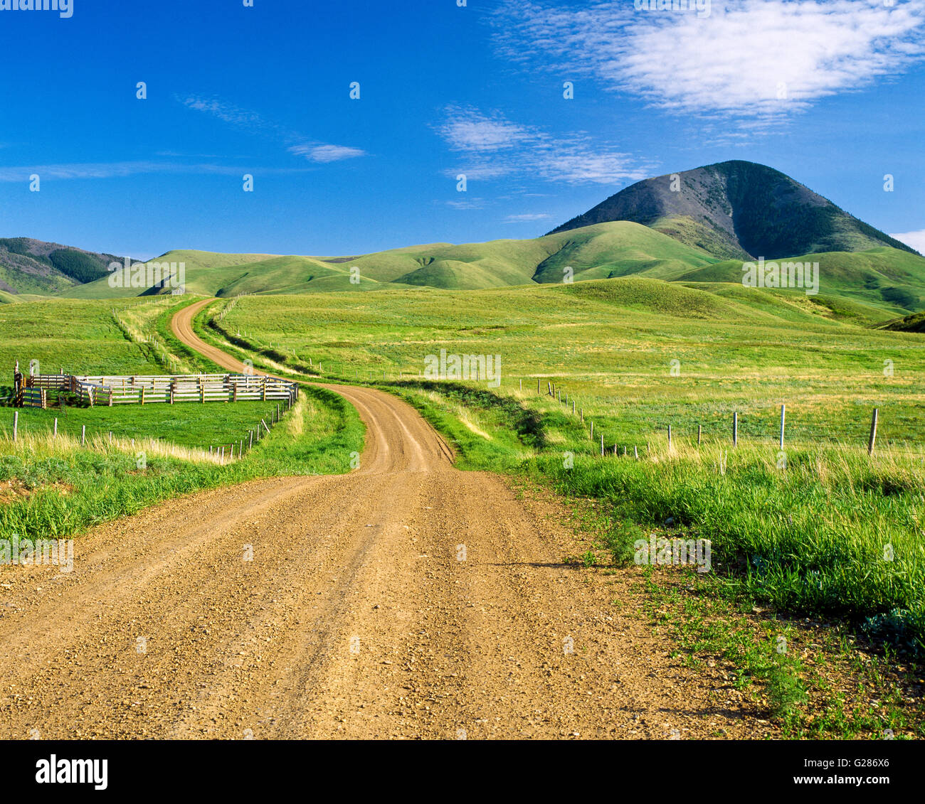 backroad below mount brown in the sweet grass hills near whitlash ...