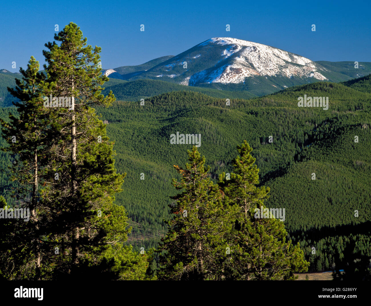 red mountain in helena national forest near helena, montana Stock Photo ...