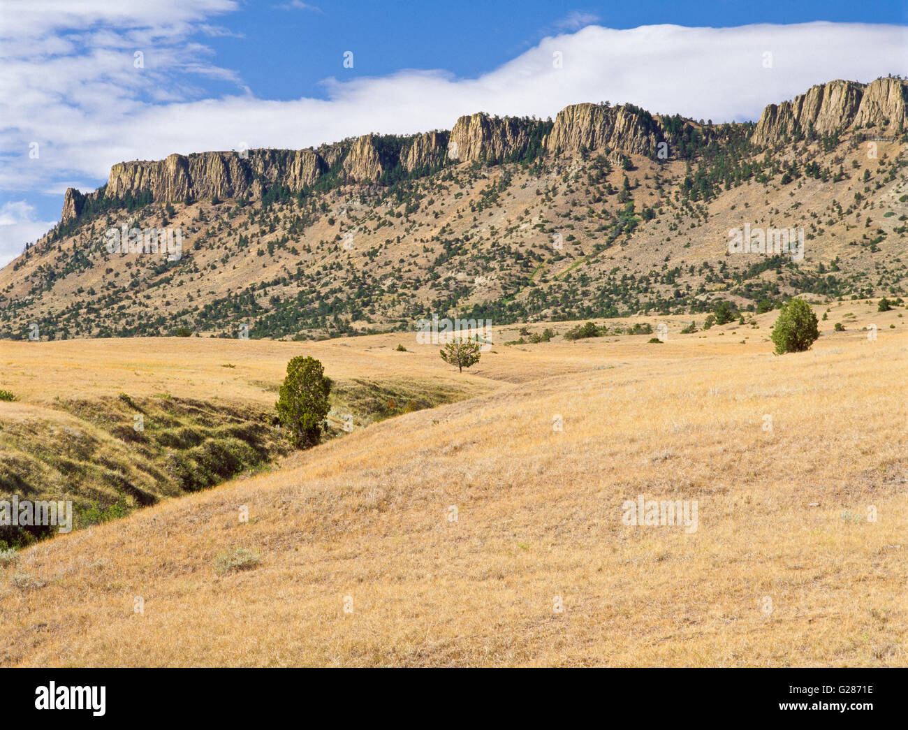 sheep mountain above the yellowstone river valley near springdale ...