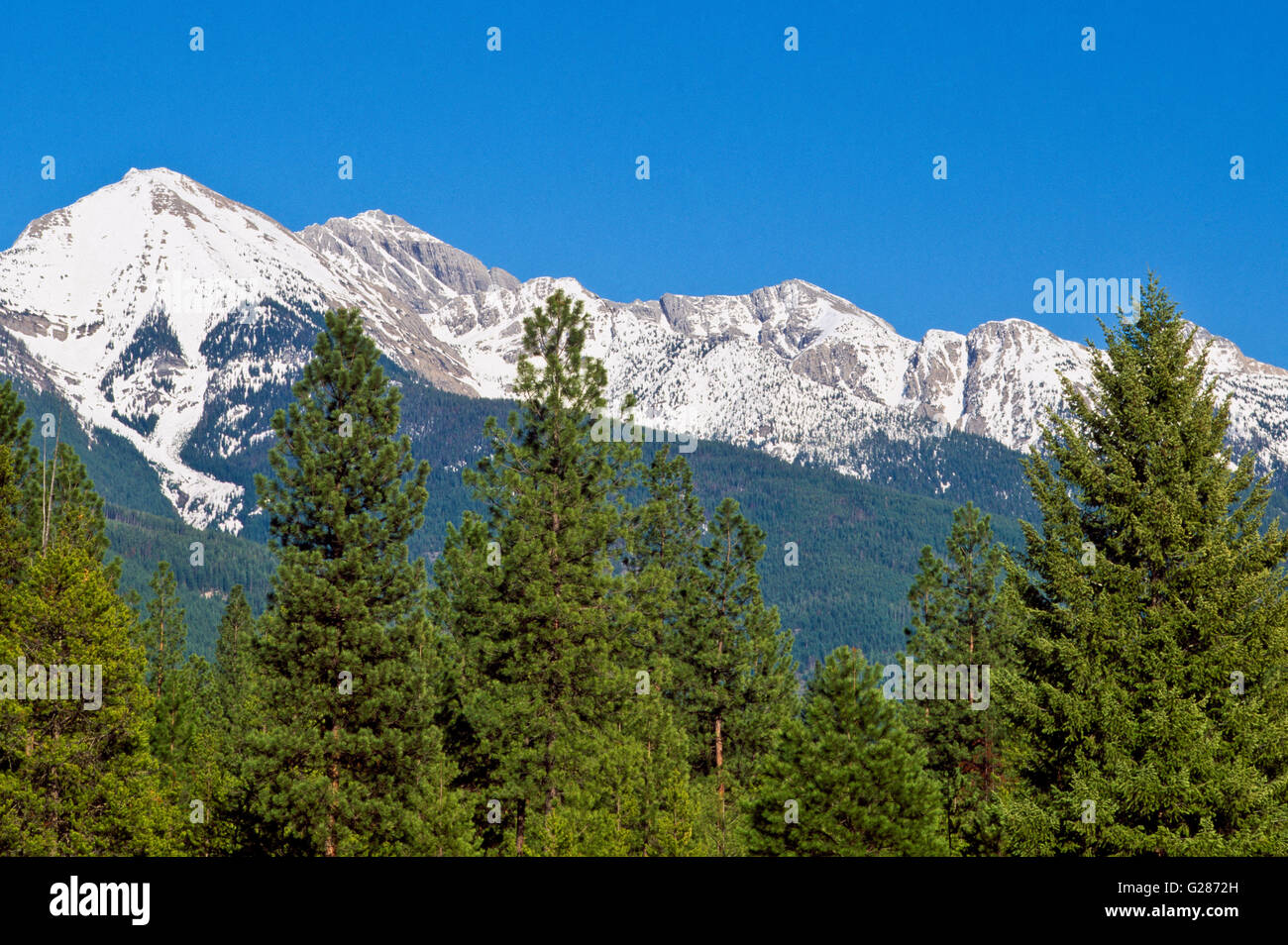 swan range above the seeley-swan valley near condon, montana Stock ...