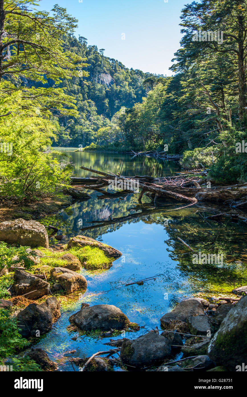 Pucon and Villarica Volcano Volcan Stock Photo - Alamy
