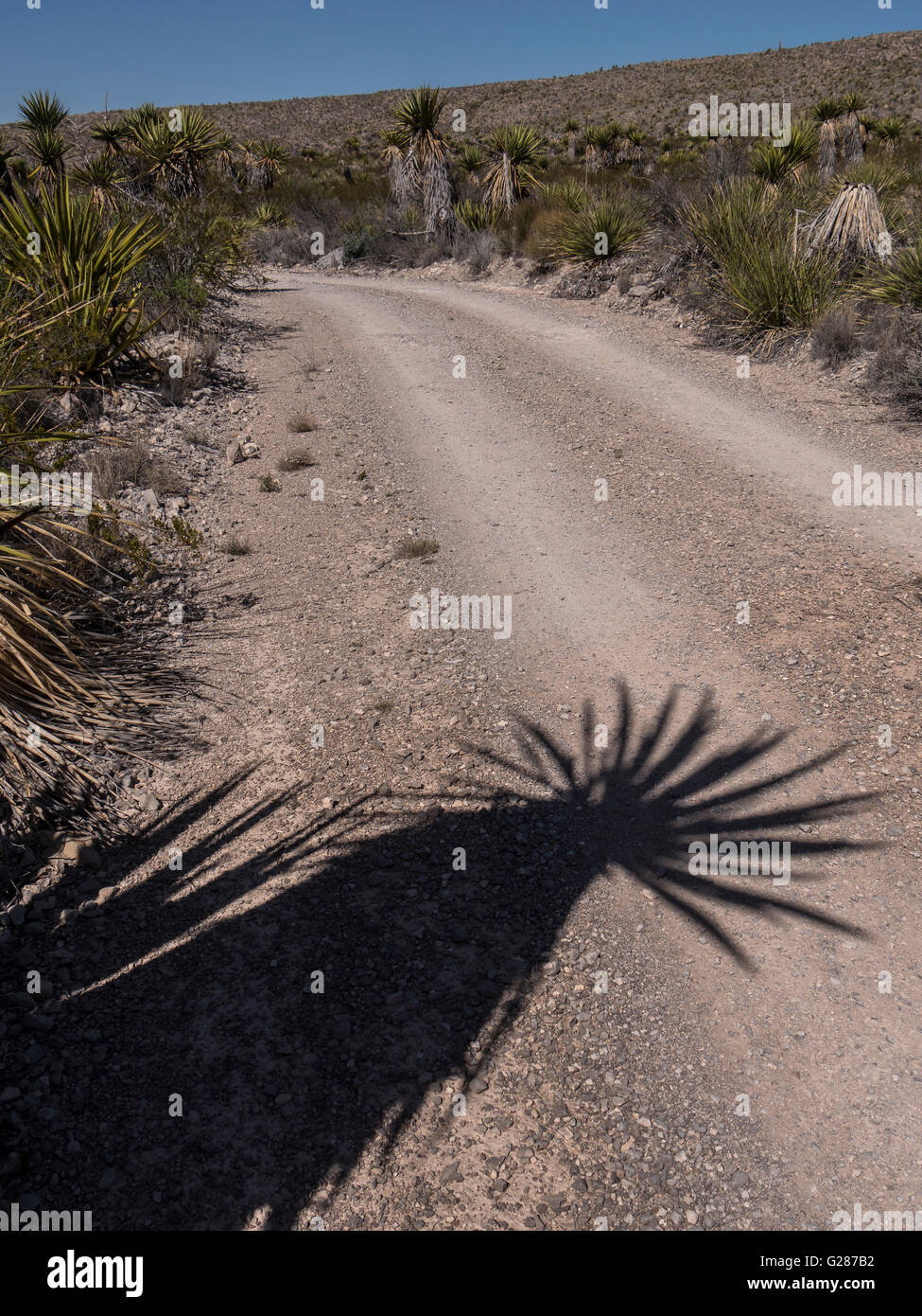 Giant dagger hi-res stock photography and images - Alamy