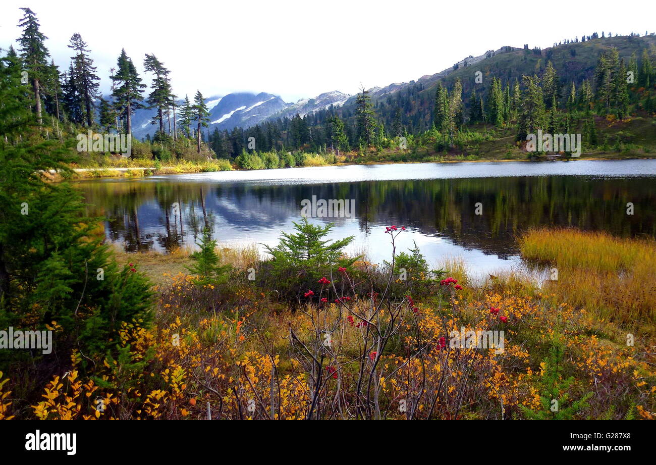 Amazing fall color in Picture lake, Mt Baker Stock Photo - Alamy