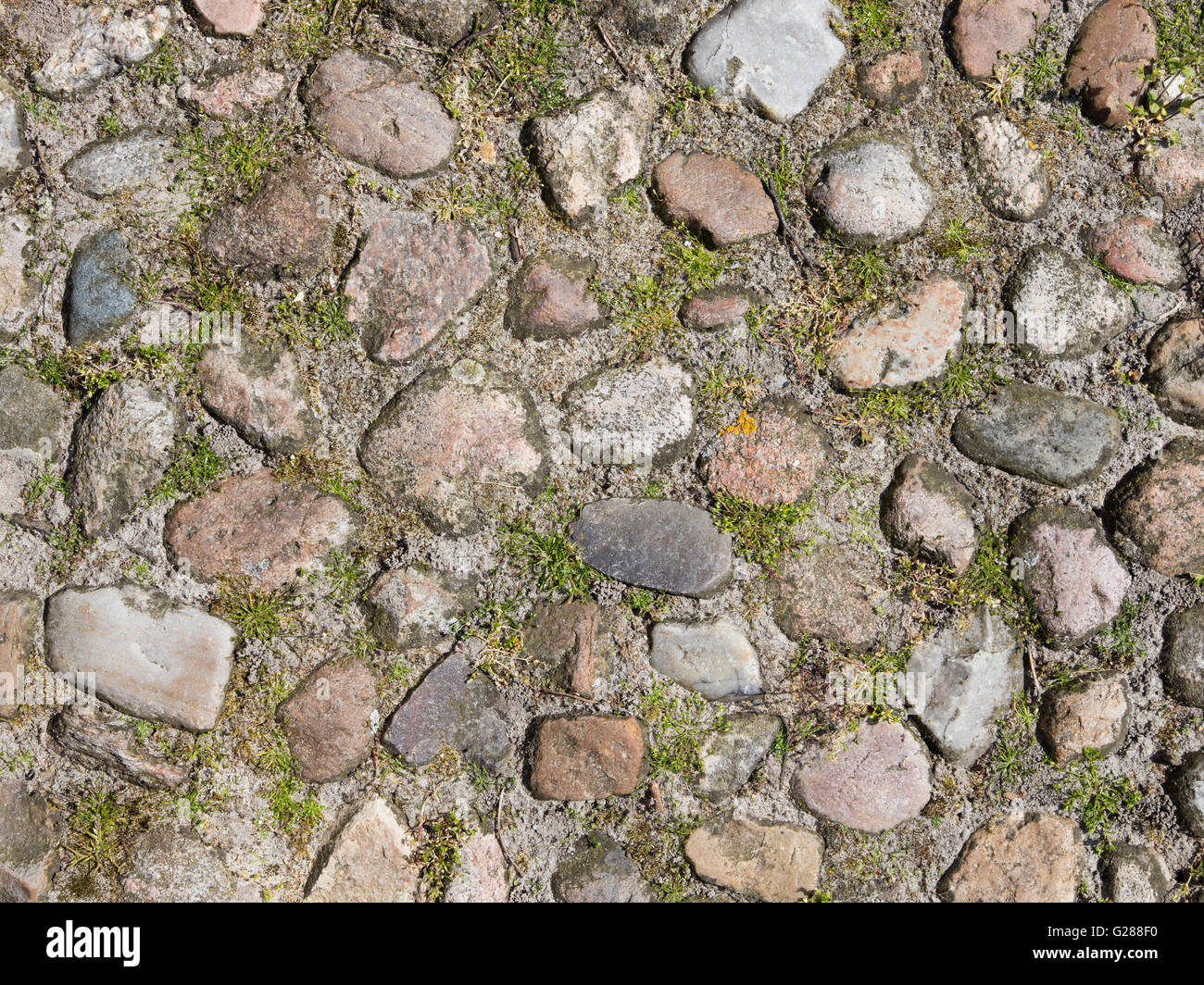 Rough paving, a road in the Netherlands Stock Photo - Alamy