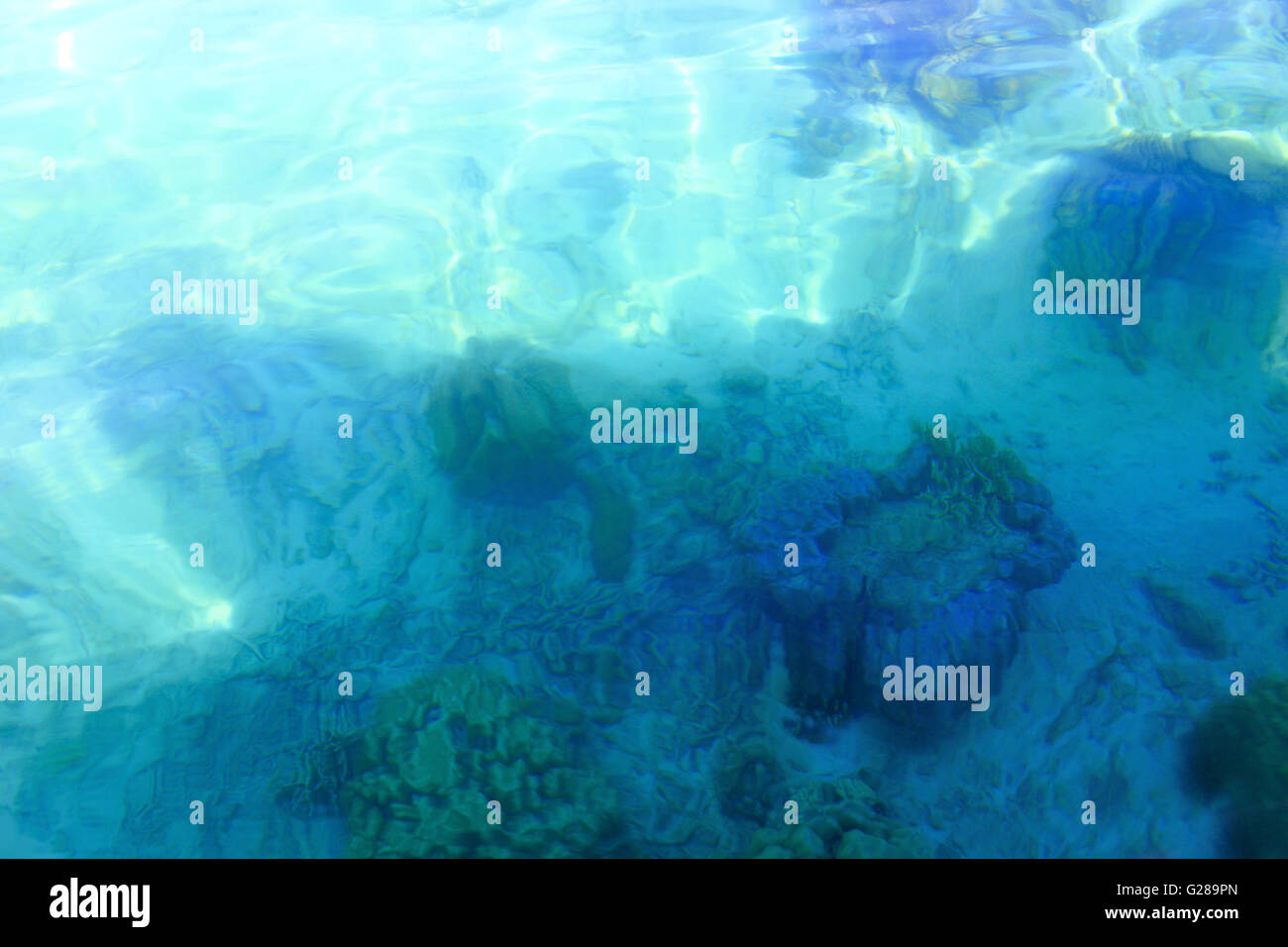 Shallow water corals in Tropical climate. Blur View on water surface ...