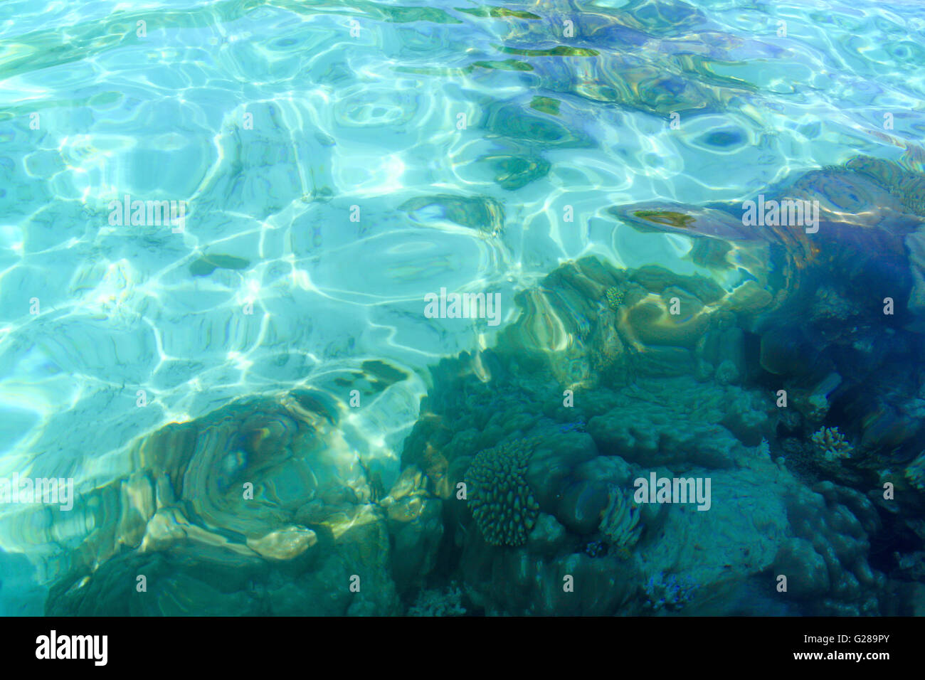Shallow water corals in Tropical climate. Blur View on water surface ...