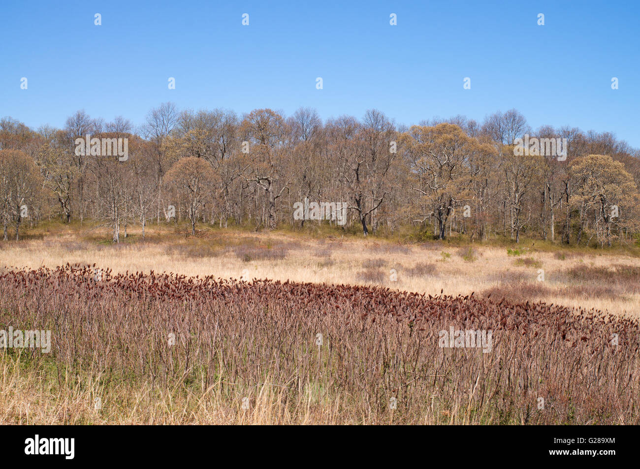 Mashomack nature preserve hi-res stock photography and images - Alamy
